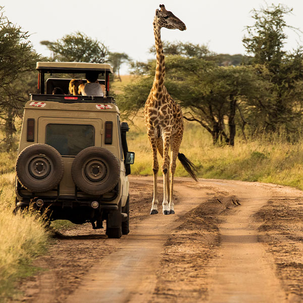 Tansania Ferien günstig buchen bei Lidl-Reisen